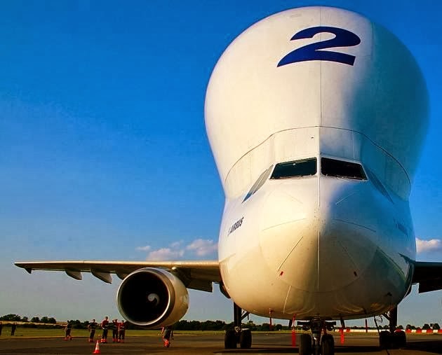 .: Airline that resembles a gigantic Sky Whale