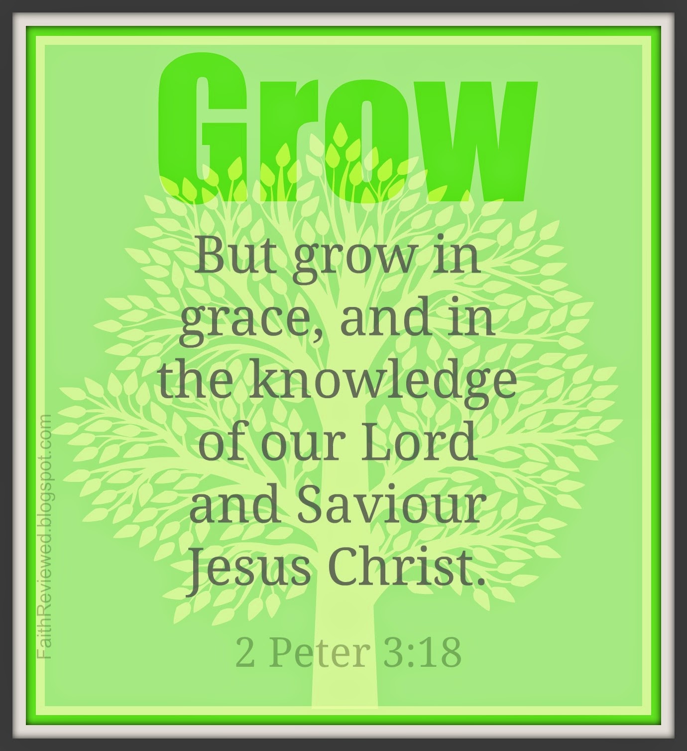 Faith Reviewed: Grow