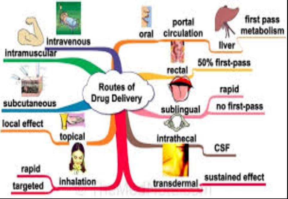 Routes Of Administration Routes Of Administration