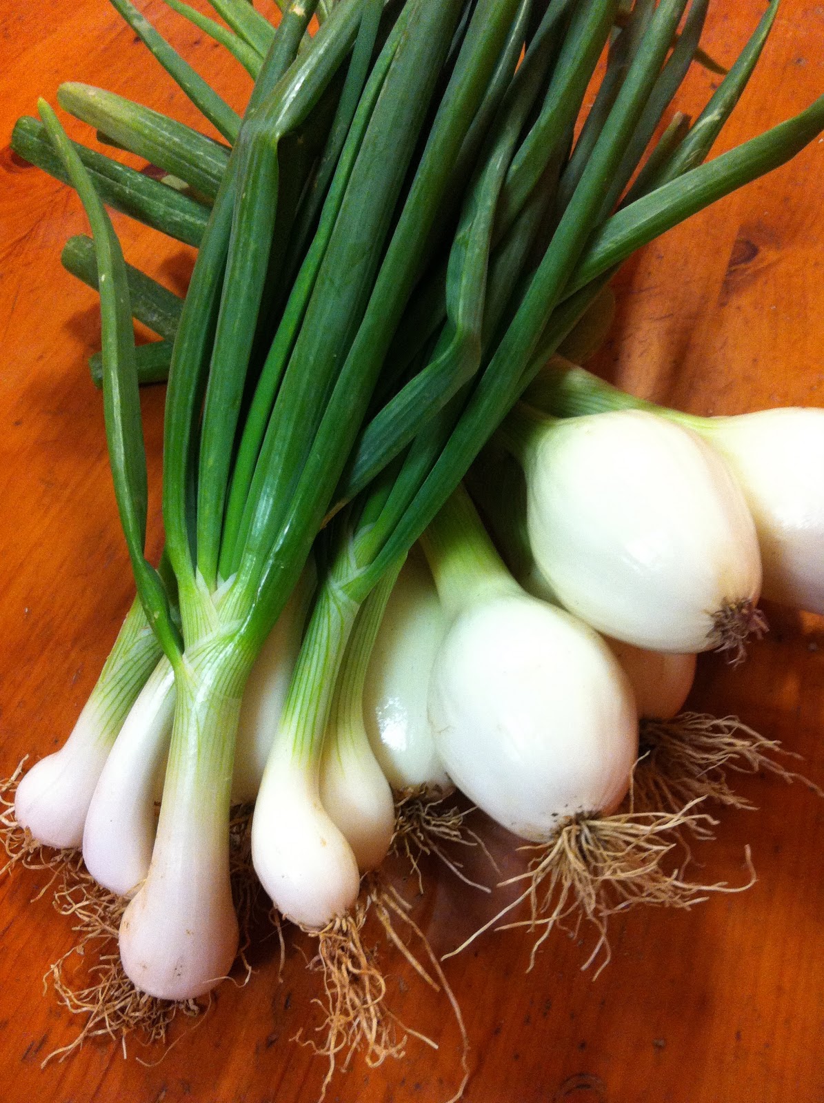 Agricultura Artesanal: Cebollas unas y otras