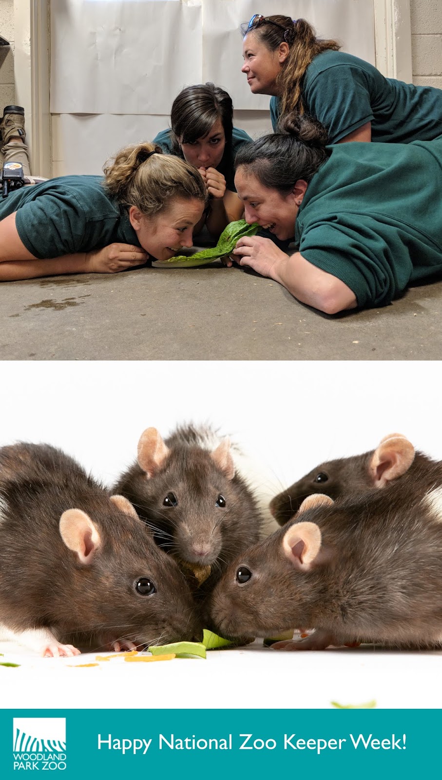 Happy National Zookeeper Week!