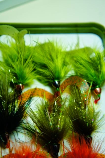 Taylor Creek Flyshop