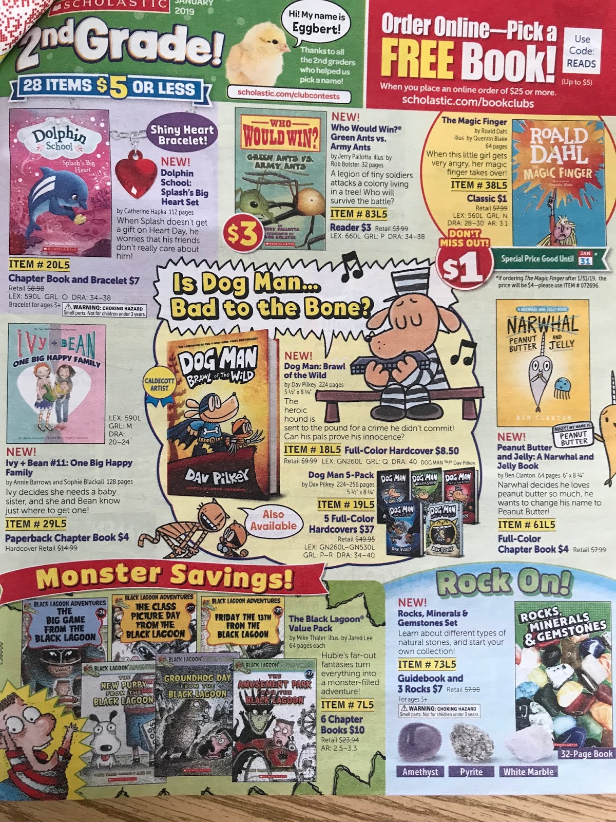 Team McNitt: January Scholastic Book Order