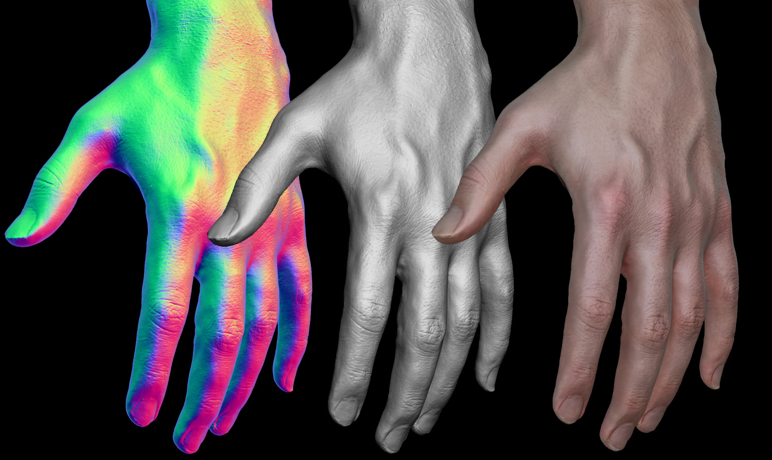 Download Ten24 Sample Scan Model | Computer Graphics Daily News