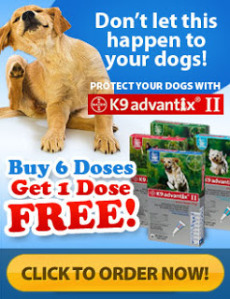 Vet Approved Rx Promo Code | Vet Approved Rx Promo Codes