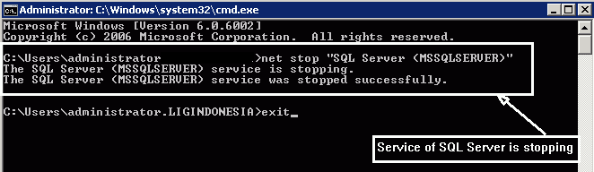 sharing: How To Start or Stop Services SQL Server Agent
