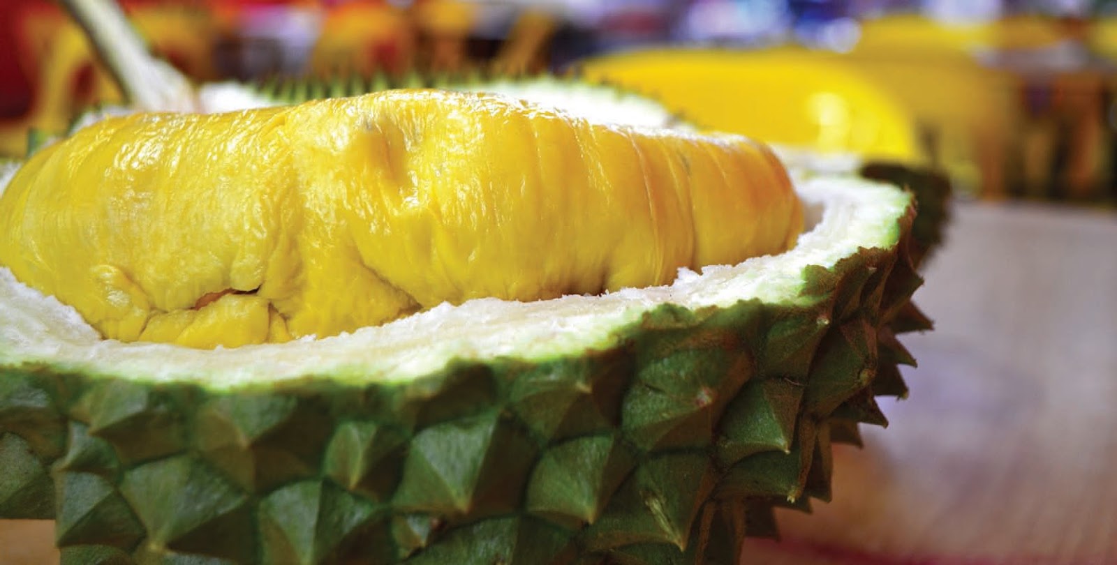 InterviewAsia: COMBAT DURIAN