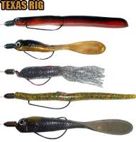 FISHING CENTER: kinds of bait for fishing in marine and freshwater