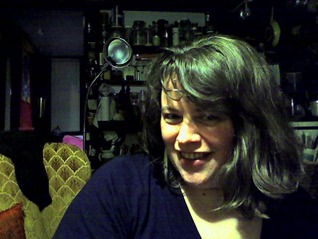 International Women Artists' Salon: Member Spotlight: Kelley Donovan ...