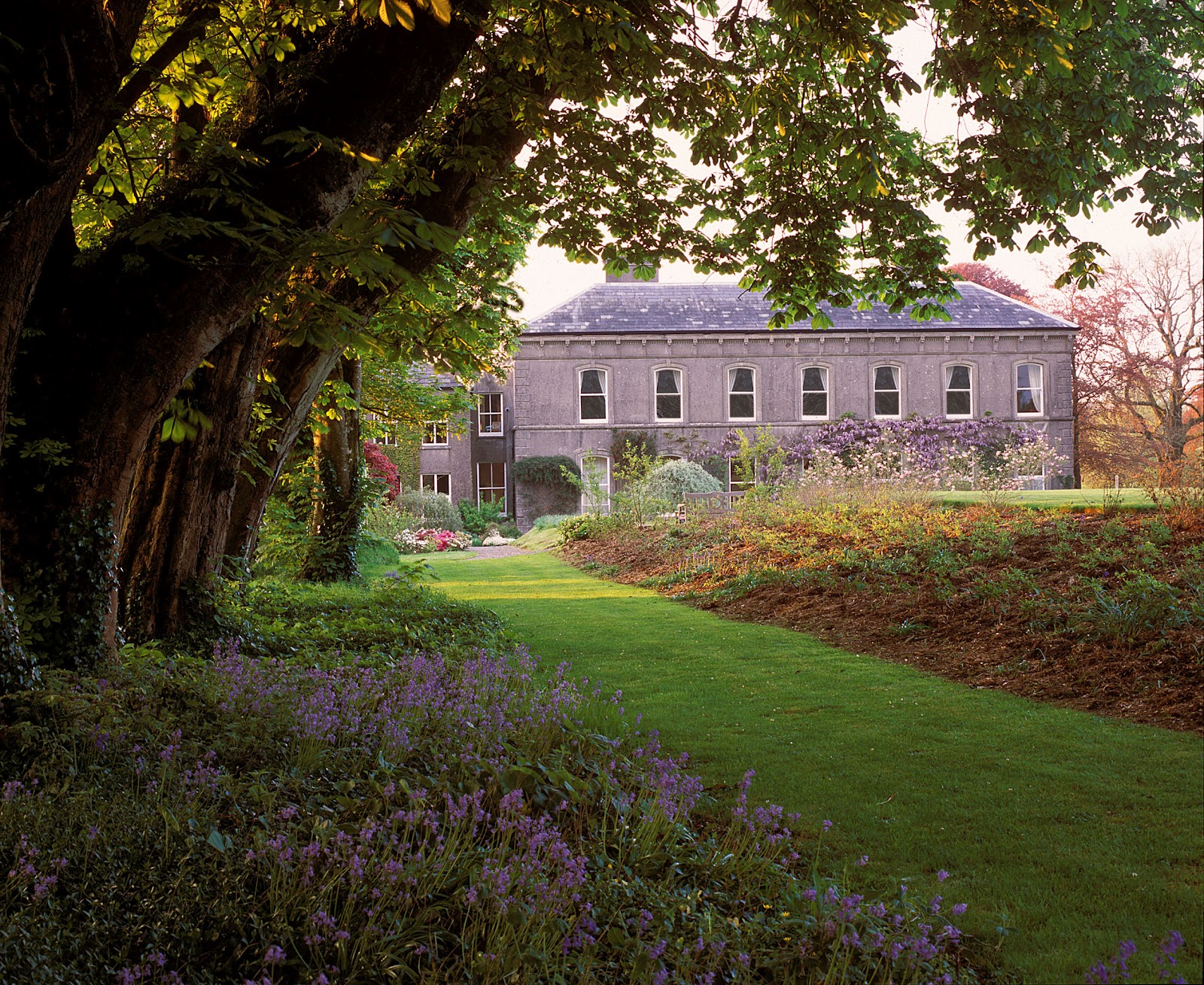 loveisspeed.......: Ballyvolane House, County Cork İreland to stay......