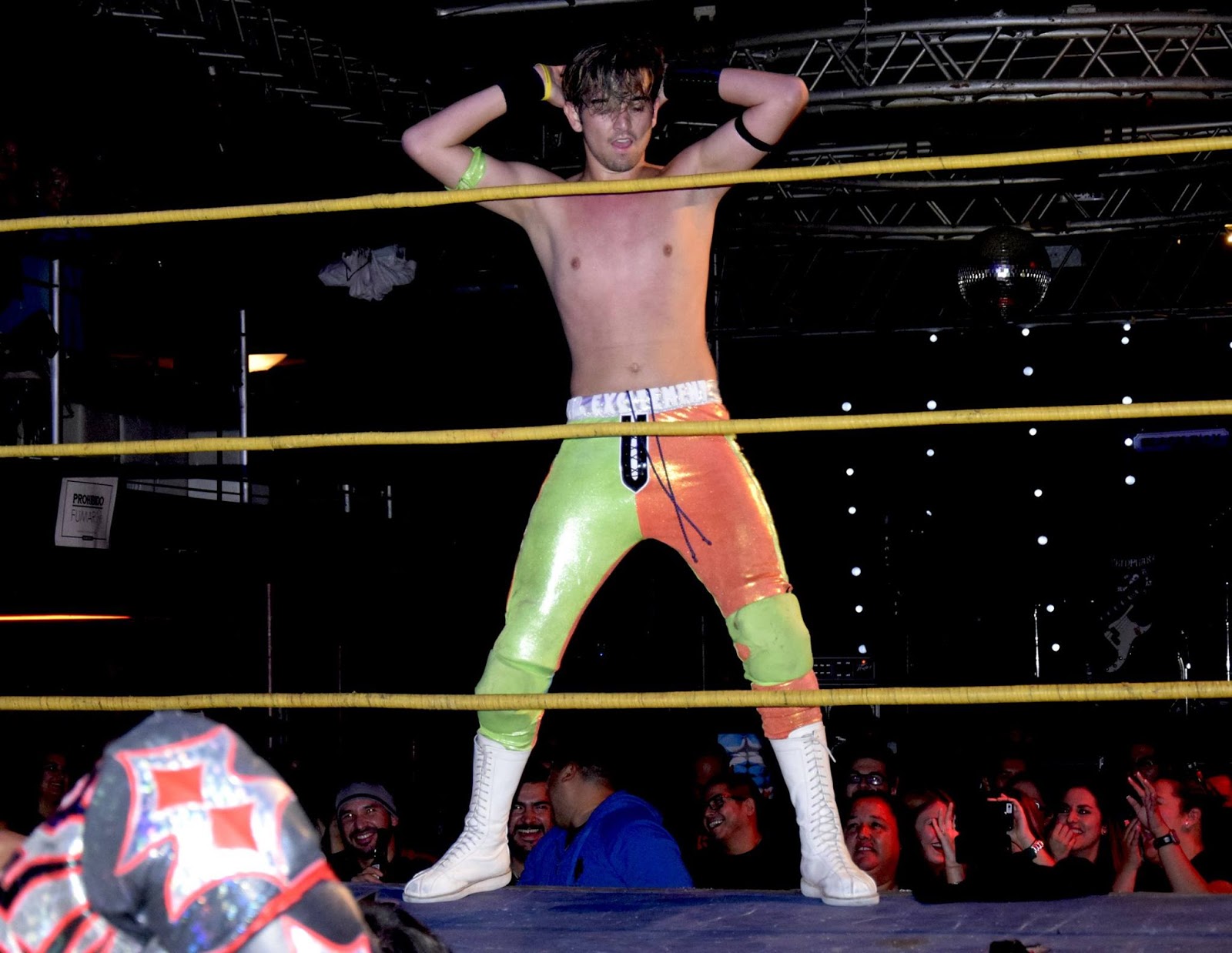 Ryan Kidd Weekly Newsletter : November 2015