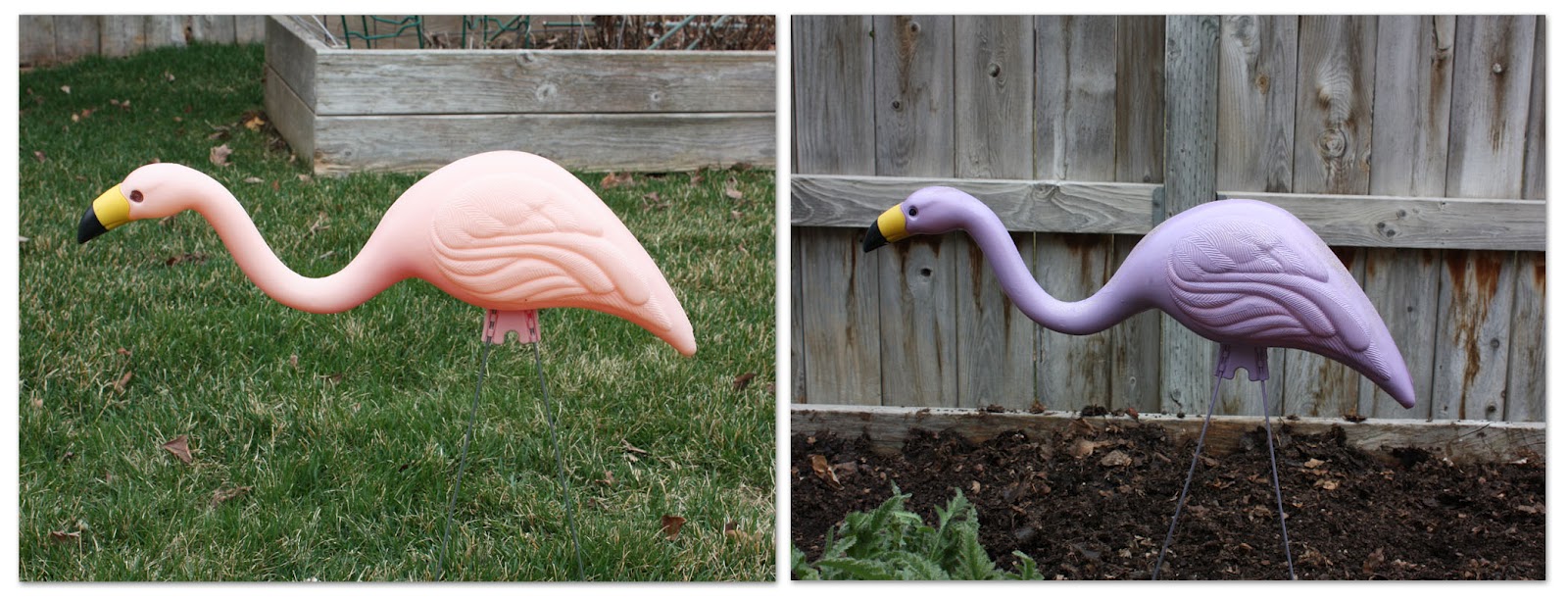 Boise Daily Photo Garden Shot: Flamingo Makeover