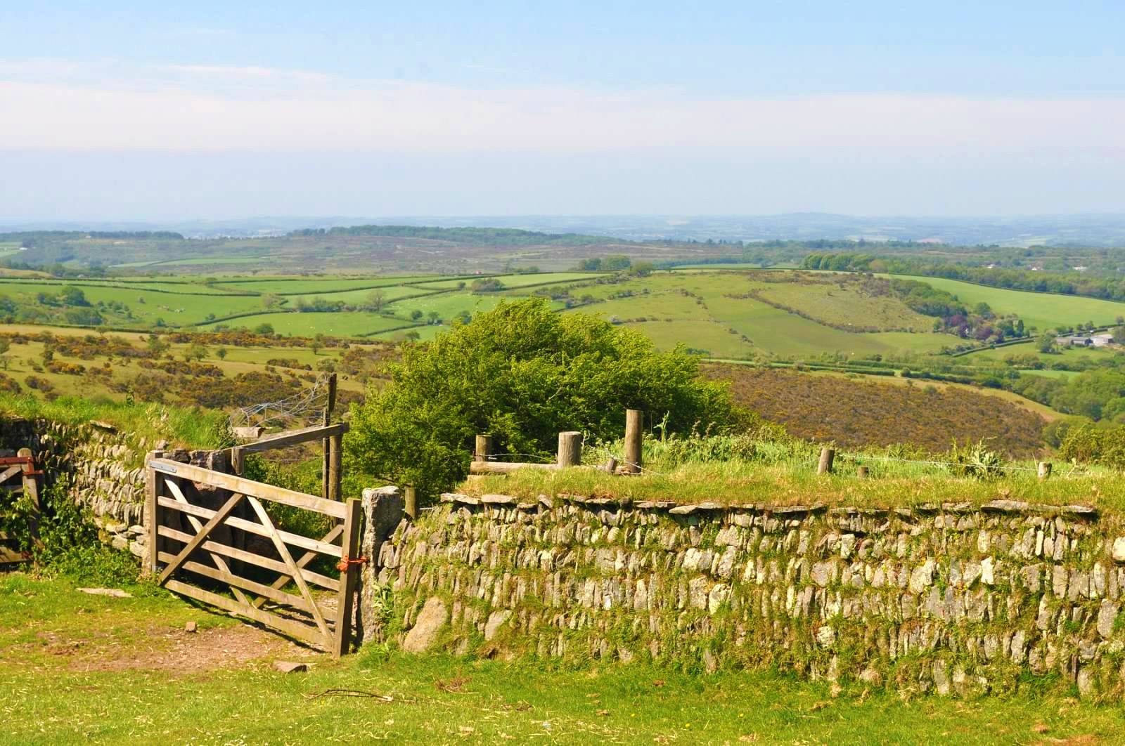 Oh, the places we will go!: The Magical Moors of Devon