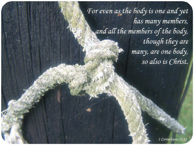 Unity, disunity, and breaking fellowship- a real life tale