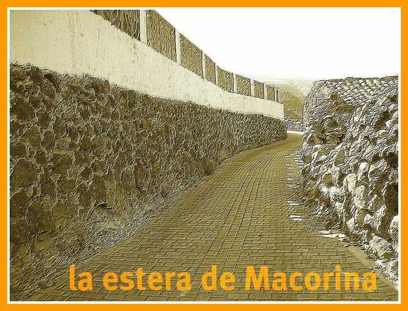 la estera de Macorina: LENGUA DE SIGNOS HAY QUE SABER HABLAR