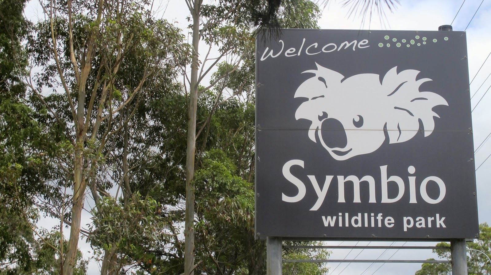 Voyage au pays du soleil ... Des kangourous ... Et du surf !: Symbio ...