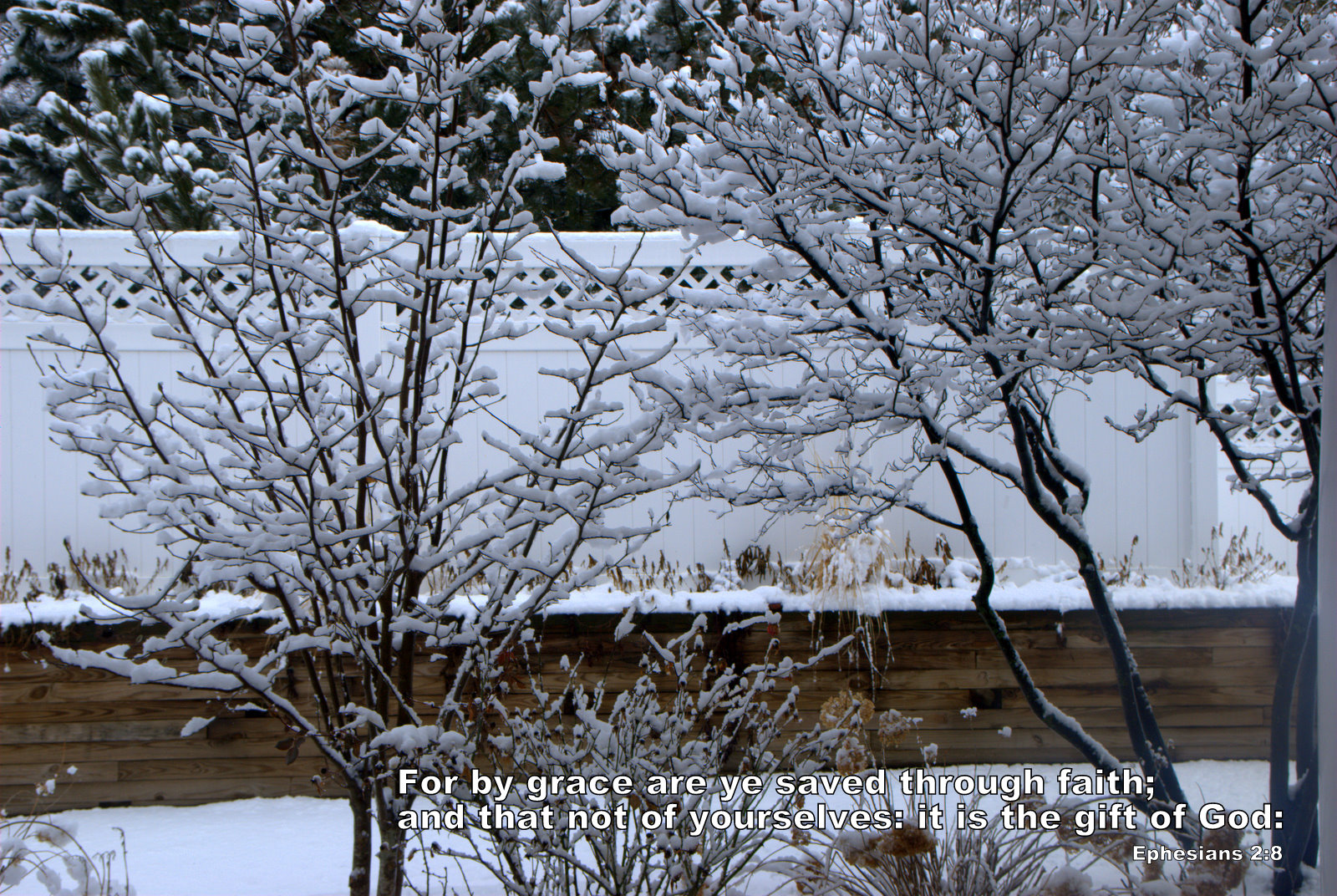 Bible Verse Collection: God saved you by his special favor when you ...