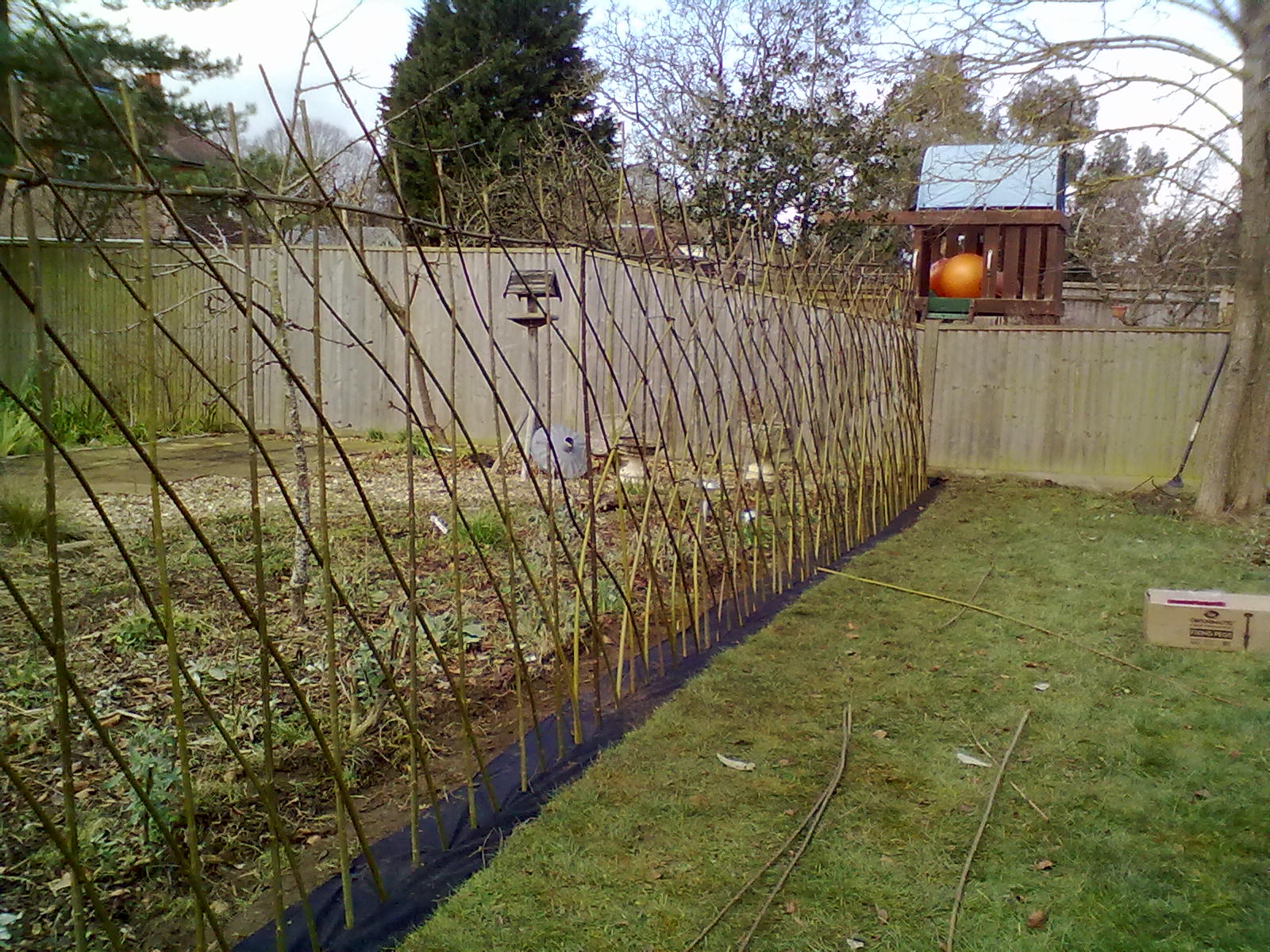 Rachel the Gardener: A new Fedge!