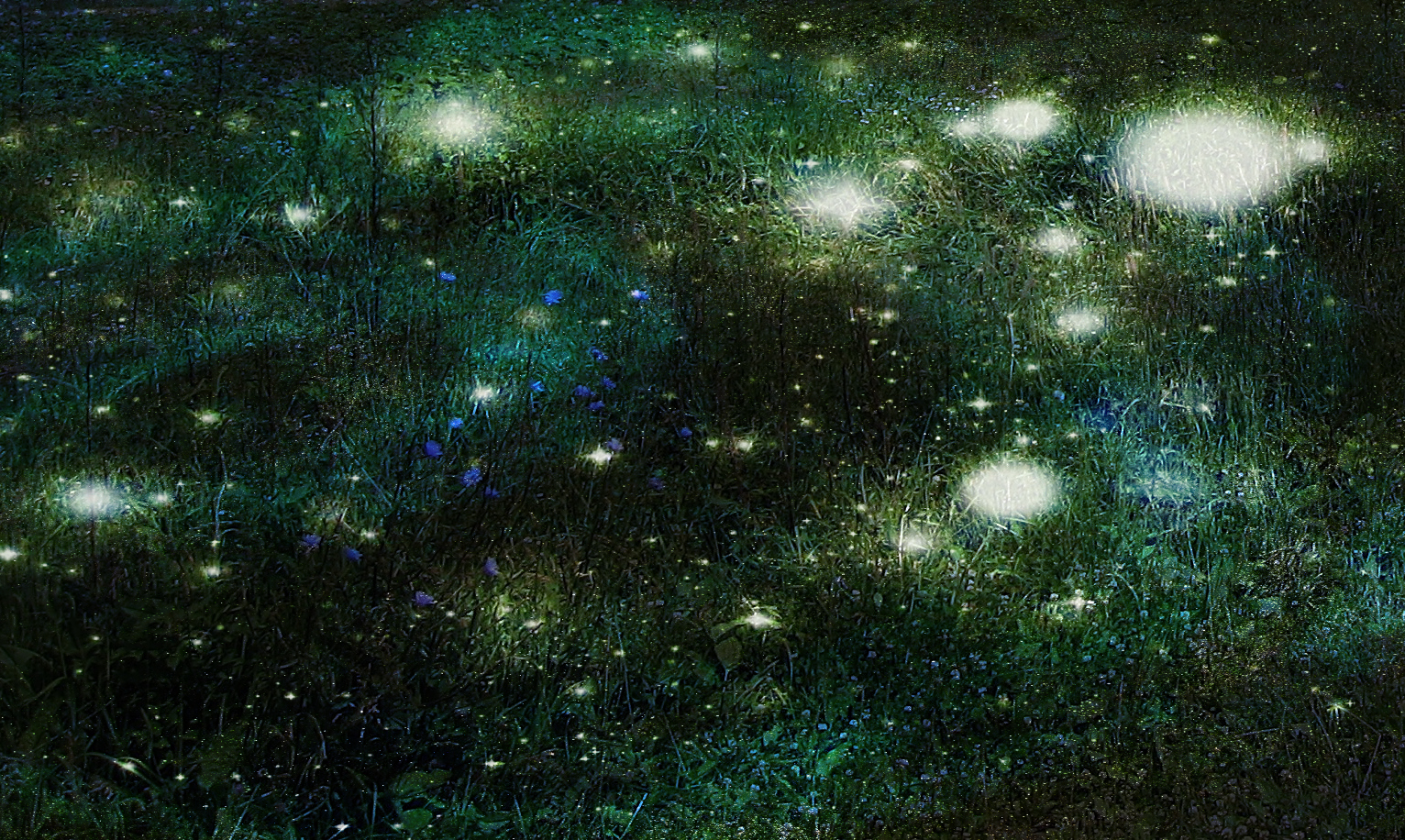 Allsparklesofnow: Space Heart Grass