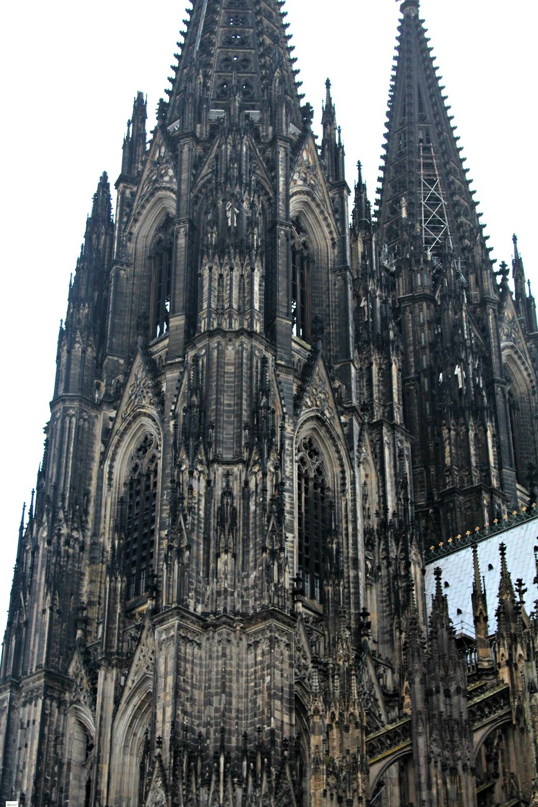 The Cologne Cathedral (Exterior) // Germany | Caravan Sonnet