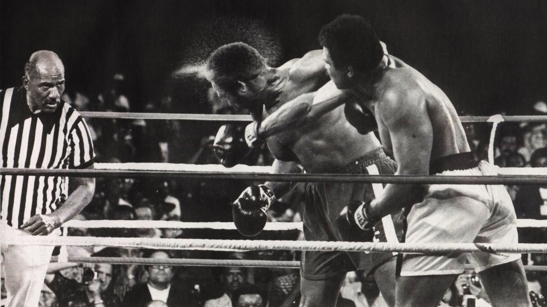 Muhammad Ali Hit - High Definition Wallpapers - HD wallpapers