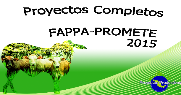 Promociones proyectos Fappa-Promete 2015 | Proyectos Productivos