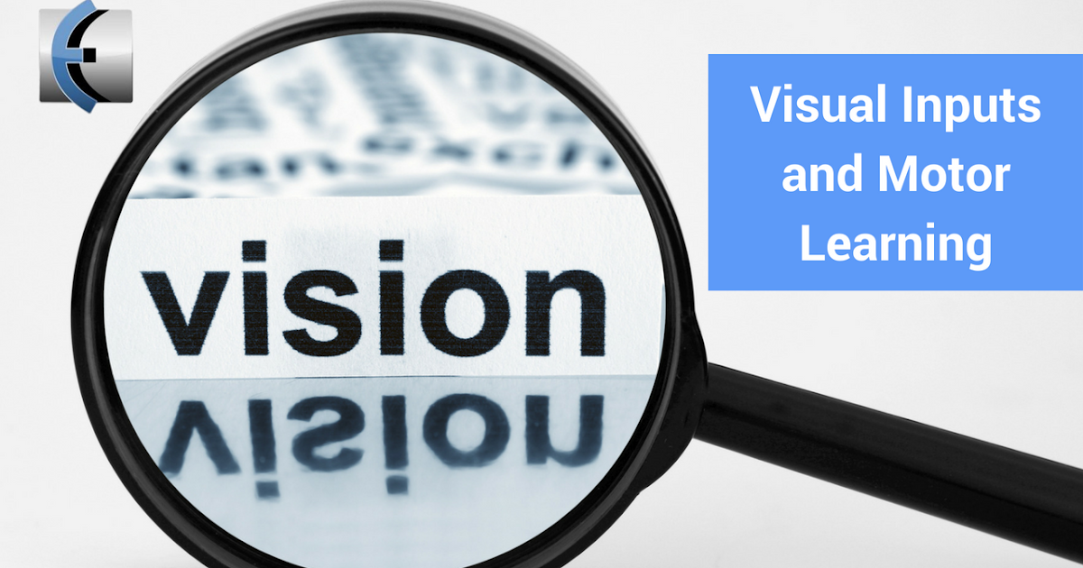 Visual Inputs and Motor Learning | Modern Manual Therapy Blog - Manual ...