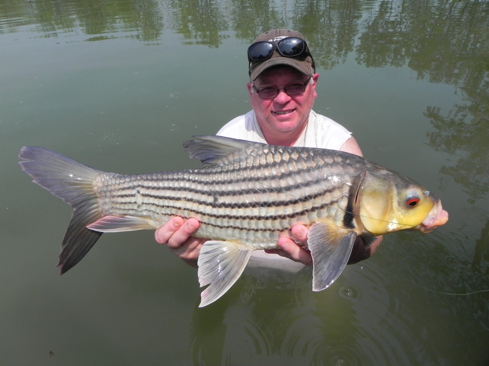 THE FISHING NEWS: MY TOP 10FRESHWATER FISH FIGHTERS