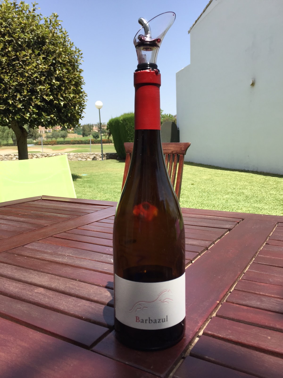 Probando Vinos: Barbazul - 2013