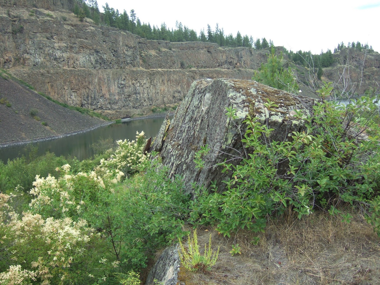 Reading the Washington Landscape: More Notes on the Bonnie Lake Steptoe