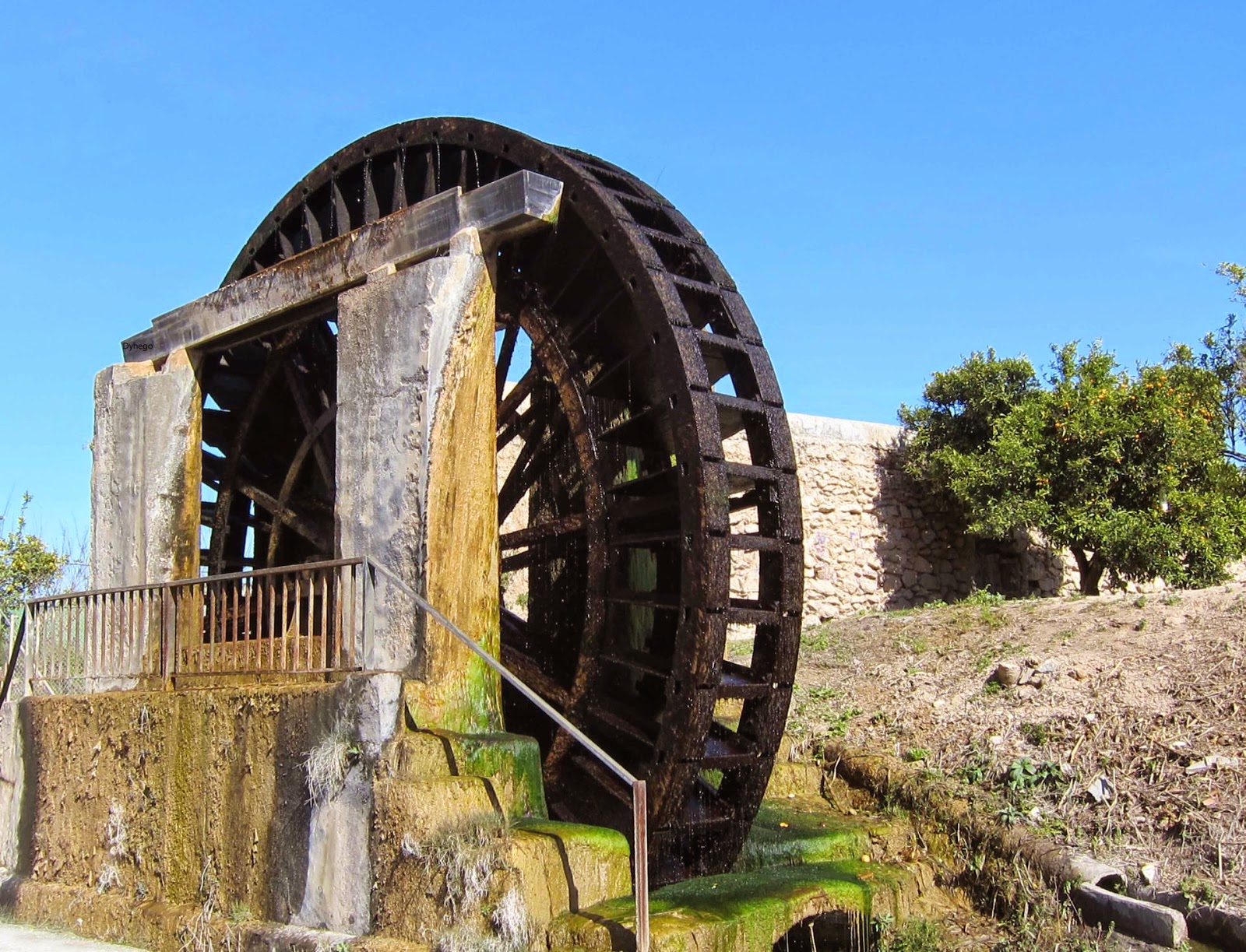 Errante fugacidad: Norias y vida