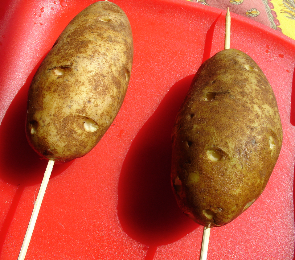 Mystery Lovers' Kitchen: Screwy Potatoes!