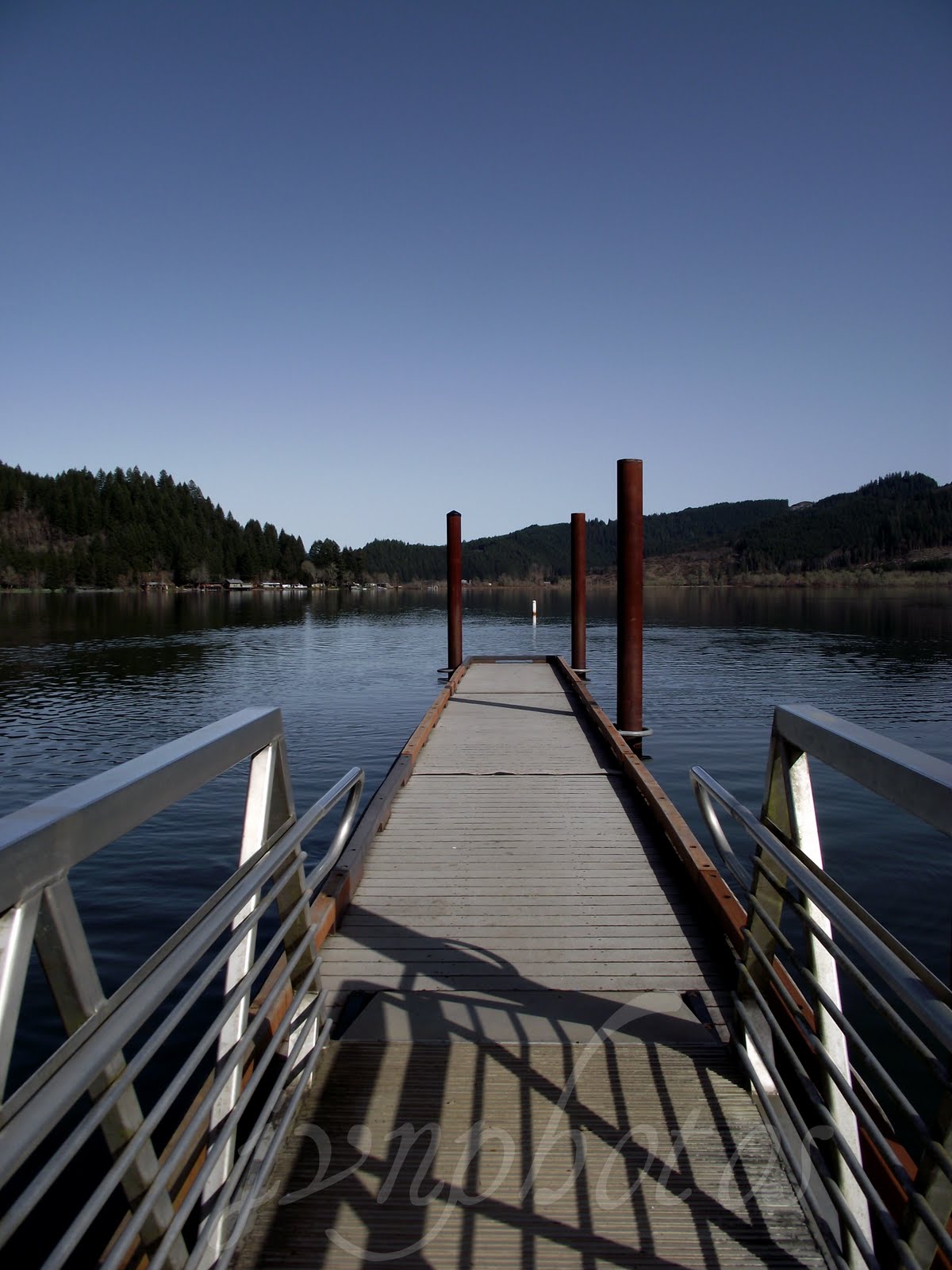 Photos by Jan: Triangle Lake, Oregon and Further Adventures