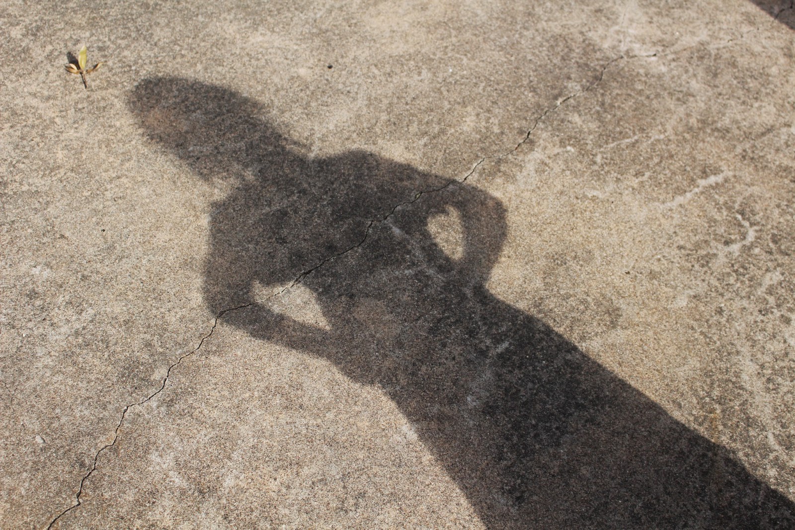 My gift to you: Peter Pan Finds His Shadow - Art lesson