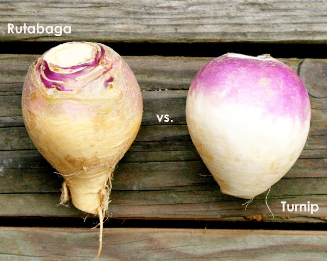The Overlooked Beauties and Their Health Benefits....ROOT VEGETABLES!