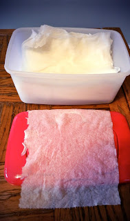 The Bare Mother Earth: Homemade Natural Wipes