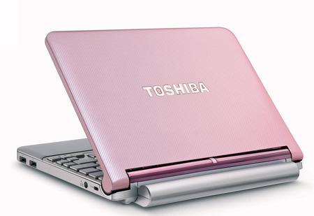 Most Amazing: Most Colorful Toshiba Mini NB205