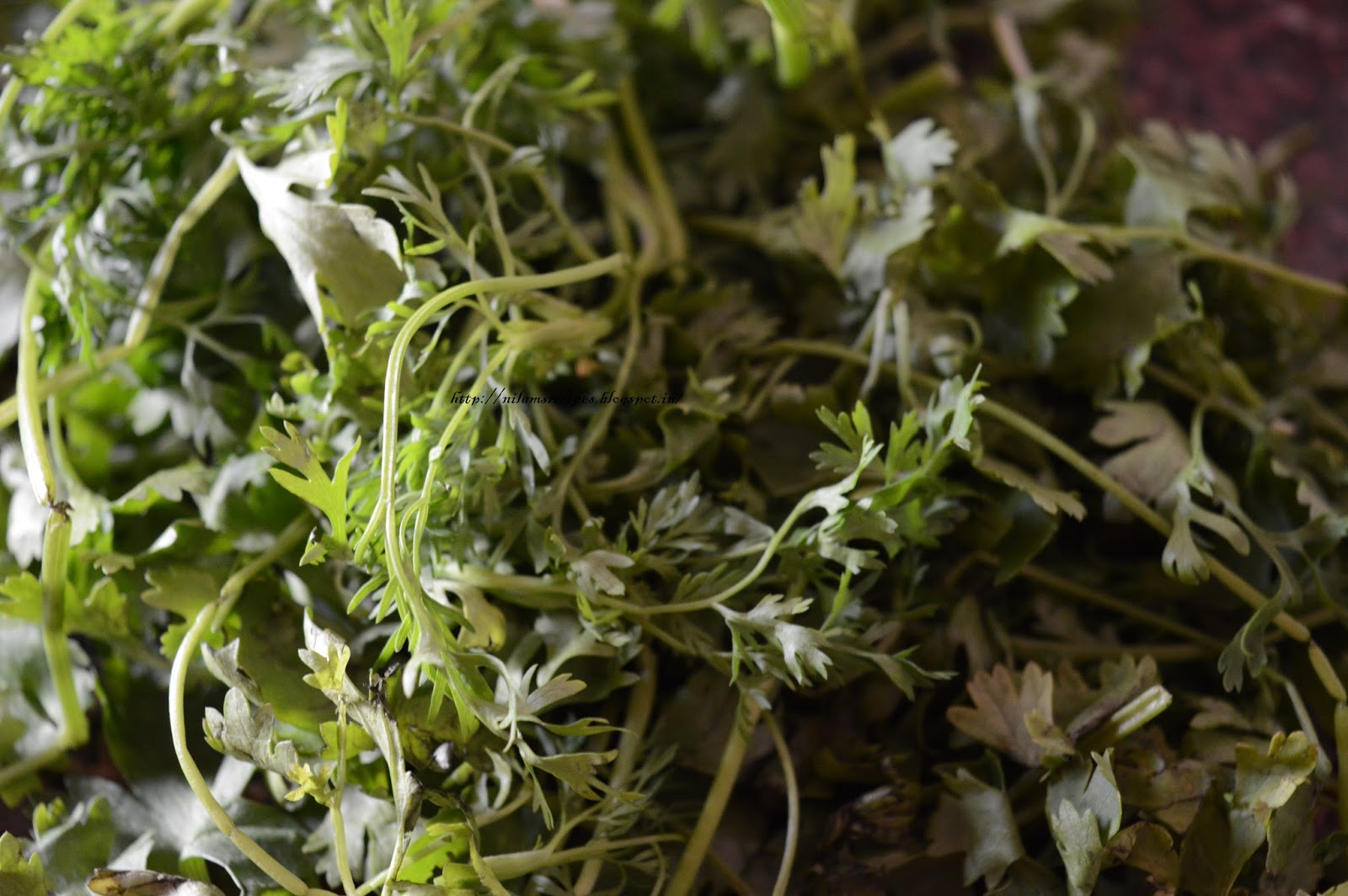 Kothimbir Vadi Recipe in Marathi | Kothimbir Vadi in Marathi | कोथिंबीर ...