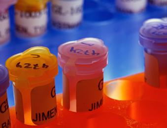 New interest in Hecolin