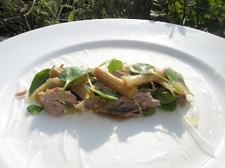 Domestic Sluttery: Sluttishly Savoury: Duck, Rhubarb and Ginger Summer ...