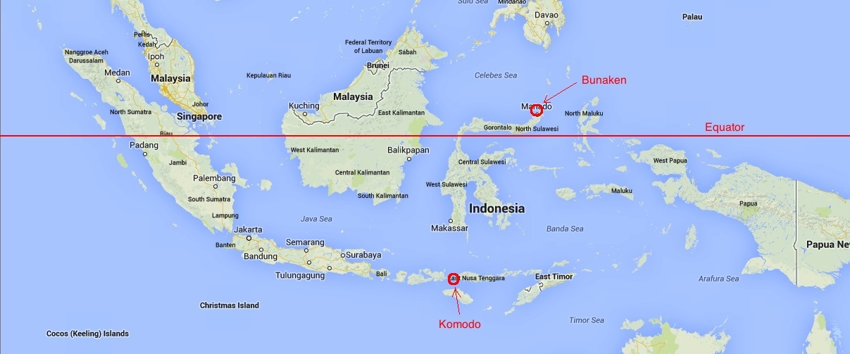 The Flying Helminskis: Germans! Diving! Turtles! (Lion)fish!