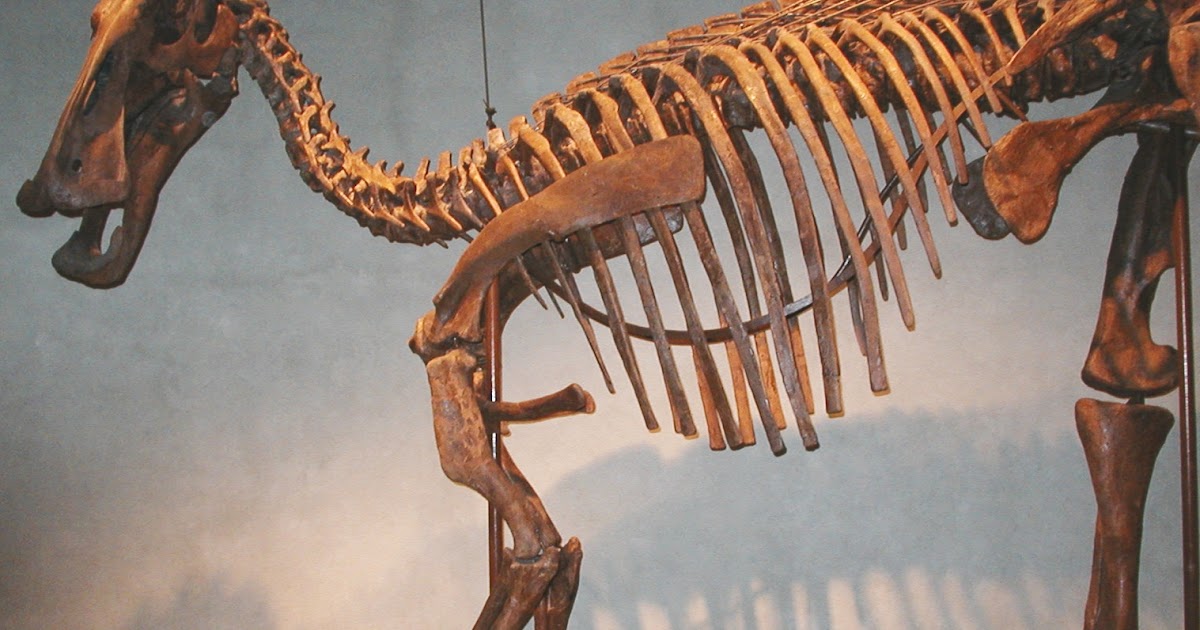 Equatorial Minnesota: The News in Hadrosaur Dietary Paleobiology