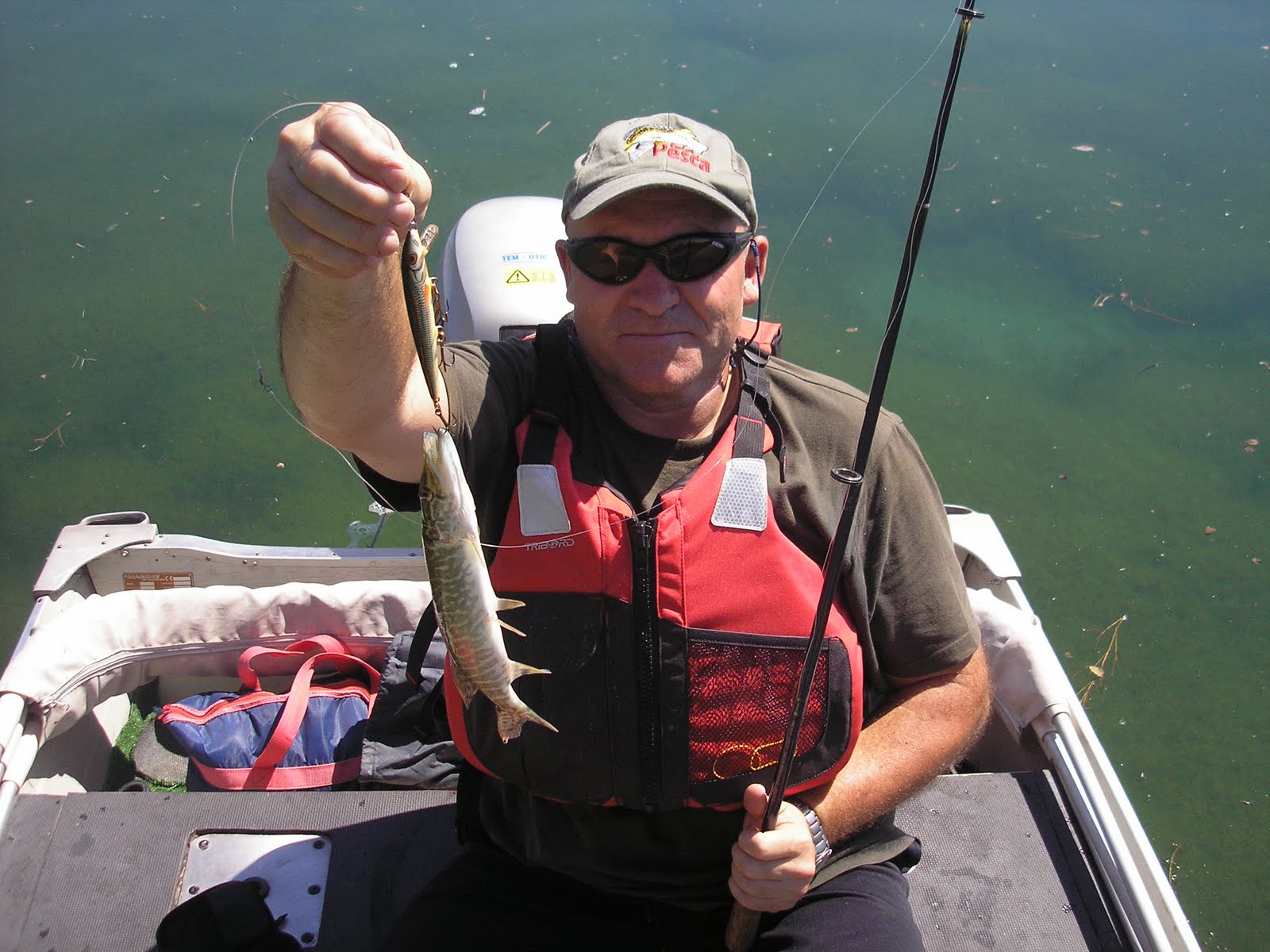 Lucios gigantes en Bolarque