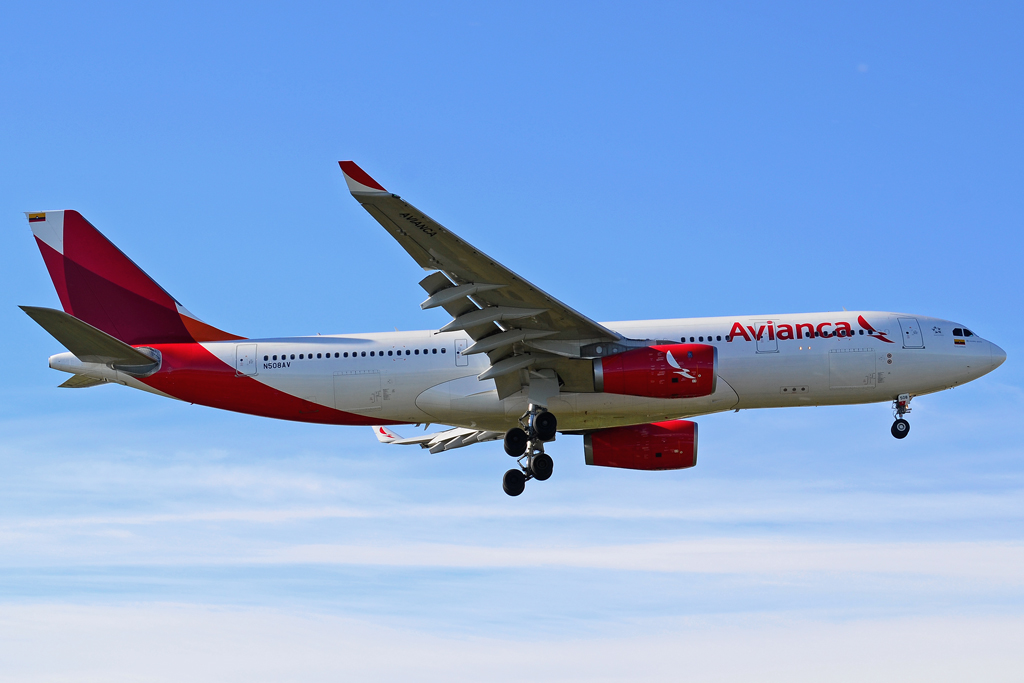 Ricardo Gomes - The True Life of a True Spotter: fevereiro 2015