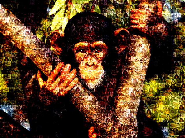 Katie Ketchum's Portfolio: Assignments