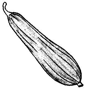 Sekitar Kawasan Sekolah: Gambar outline_Buah Sayur