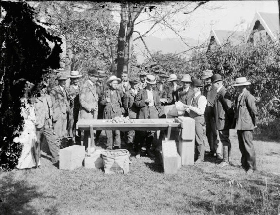 Rustlings in the Wind: Ngatimoti Co-operative Apple Packhouse