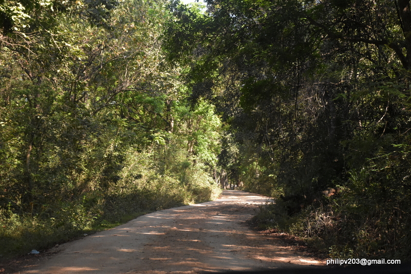 philipveerasingam: At the Veddha village of Dambana, Mahiyangana, Sri ...