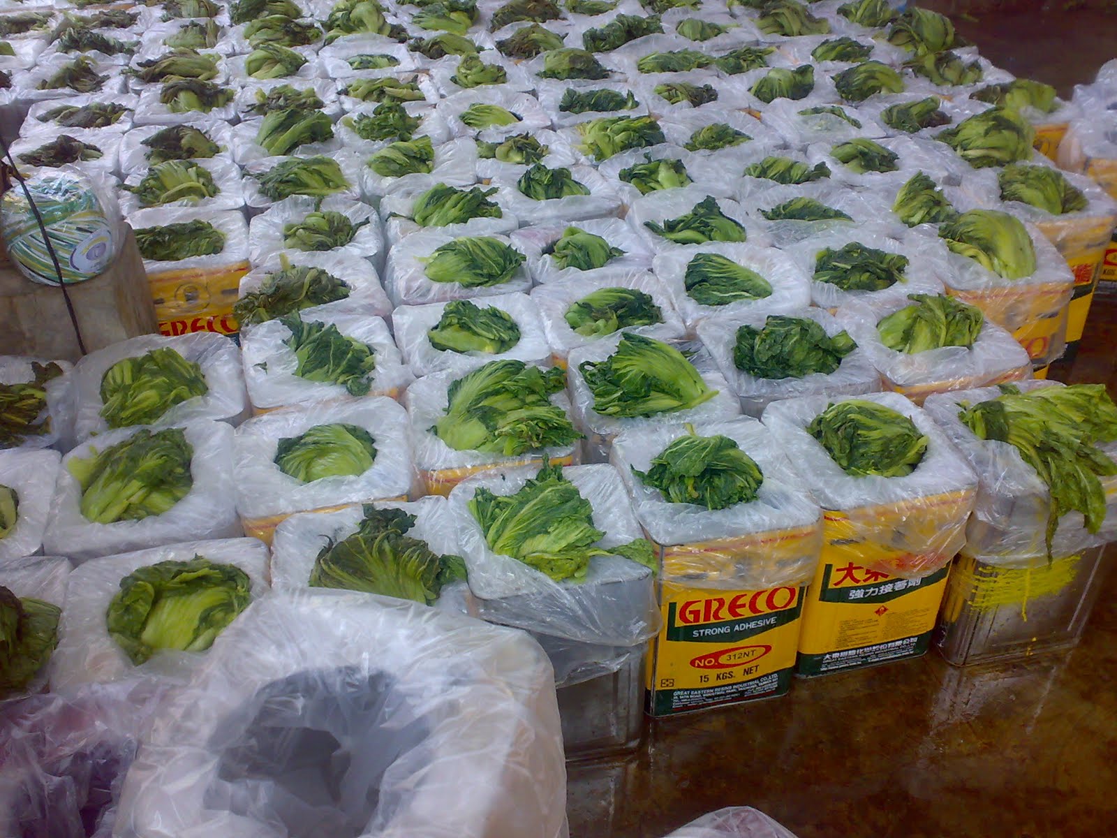 SUPPLIER SAWI PAHIT/JABUNG, SAWI ASIN (KIAM CAI),SAWI ASIN KERING (HAM ...