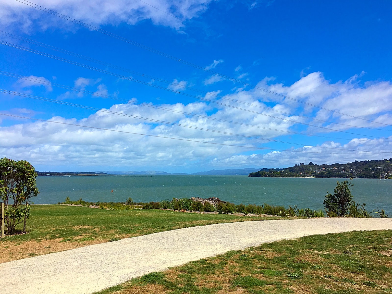 The Disappearing Blogger: THINGS TO DO IN AUCKLAND: ONEHUNGA BAY RESERVE